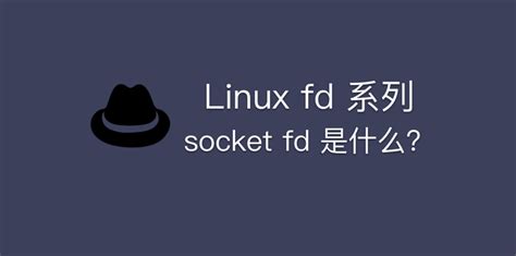 Linux Fd 系列 — Socket Fd 是什么? 知乎 Linux Fd 系列 — Socket Fd 是什么? 知乎