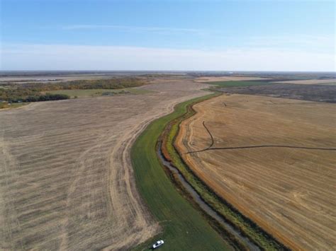 Herbsigwil Farms Alus Riparian Perennial Grass Buffer Seine Rat