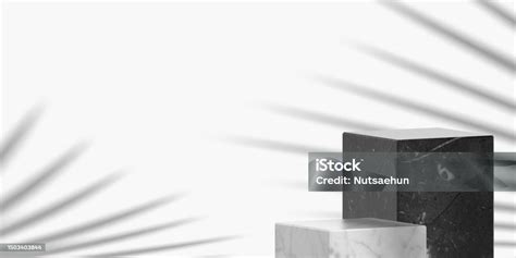흑백 대리석 연단 역 디스플레이 아름다움 화장품 배경 3d 손바닥 그림자 렌더링 0명에 대한 스톡 사진 및 기타 이미지 0명 3차원 형태 강단 Istock