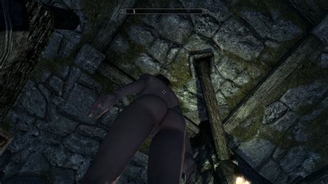 All In One Hdt Animated Pussy 4 0 Texture Problem Technical Support Sexlab Framework