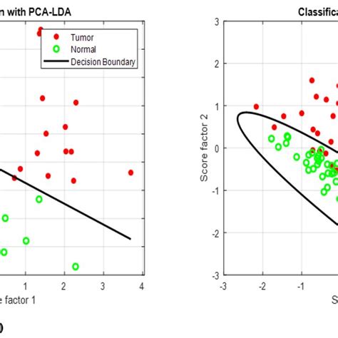 Decision Boundary Curve For Autofluorescence Images Analysis Using A