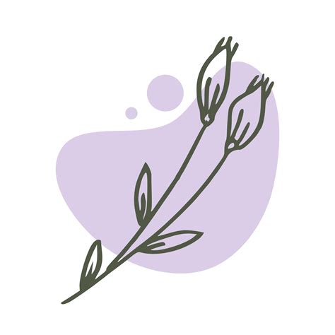 Hand Drawn Leaf With An Aesthetic Shape Or Aesthetic Blob Simple Decoration 22221632 Png
