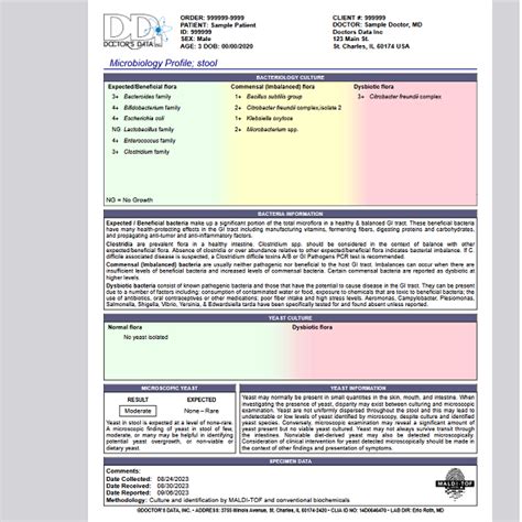 Discover The Microbiology Stool Test For Gut Health Insights