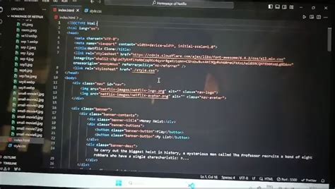 md danish on linkedin html css bharatintern netflixclone css html