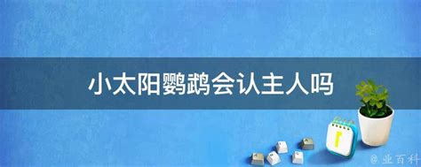 小太阳鹦鹉会认主人吗 业百科