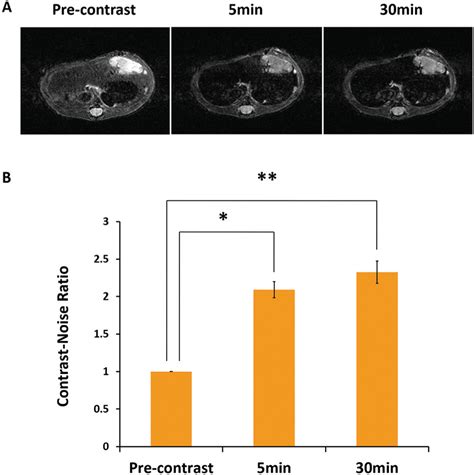 Figure 4 From An Nir Iimr Dual Modal Nanoprobe For Liver Cancer