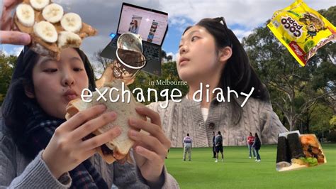 호주 대학에는 이게 있다고🫢 교환학생 꿀팁 가득🍯 호주 교환학생 일주일 브이로그 학교에서 무료 식료품 받기 호주 대학 수업 차이점 영어 공부 방법