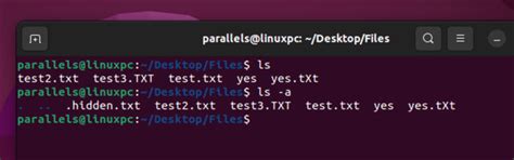 如何在 Linux 中显示隐藏文件 0x资讯