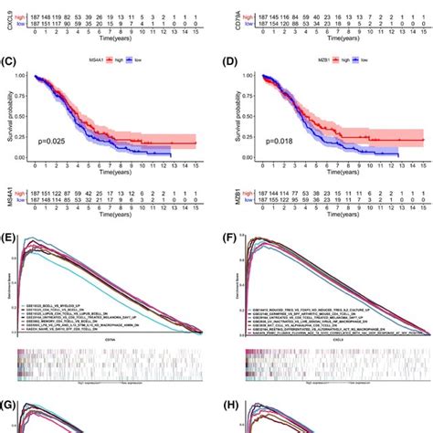 Correlation Analysis And Gene Set Enrichment Analysis Gsea Of The Download Scientific Diagram