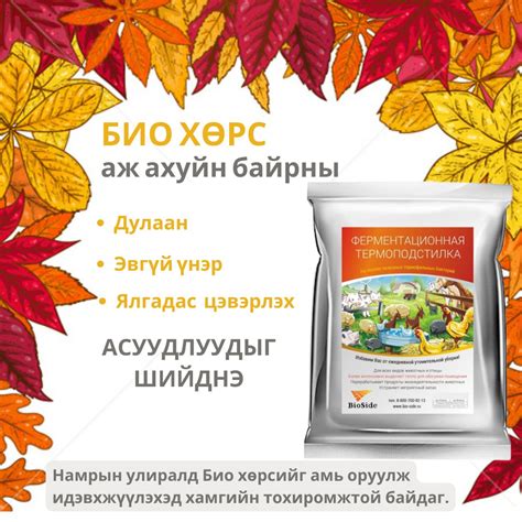 Undug Mn Өндөг мн Мэдлэгт дусал нэмэр Бор өндөг гаргадаг шилдэг өндөглөдөг 12 тахиа 1