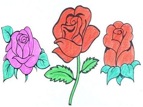 Как нарисовать розу карандашом поэтапно для начинающих