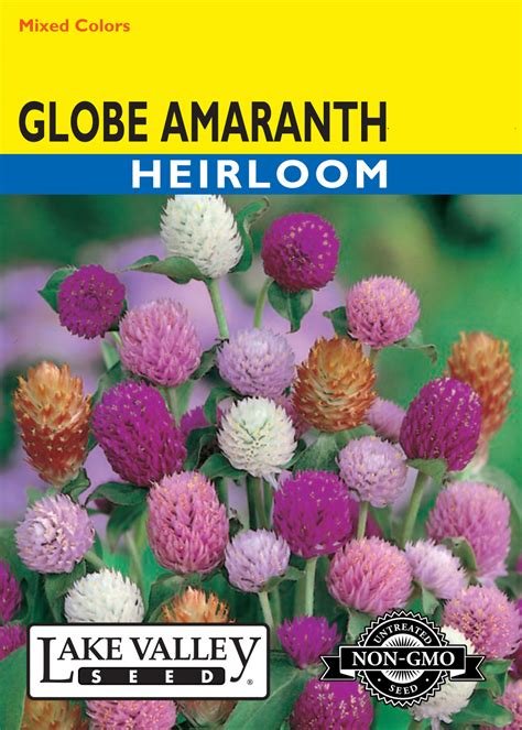 Globe Amaranth Mixed Colors Item 3469 Lake Valley Seed