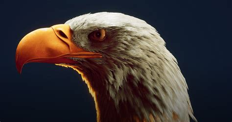 Multiplatform On Linkedin 3d Software Houdini20 Houdini 3dart