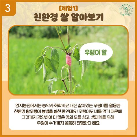 지구를 지키는 농부 🏻지지농 서포터즈의 친환경 팜투어 생생 후기 🏻 백문이불여일견 친환경 농업과