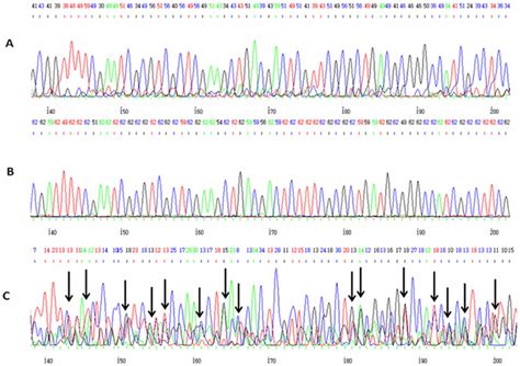 Its2 Sequences Amplified From Three Types Of Females A Individuals