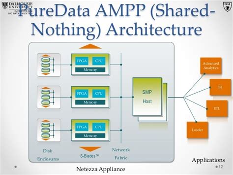 Netezza Pure Data