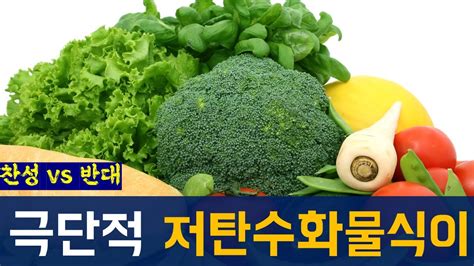 극단적 저탄수화물식사에 대한 단상 Youtube