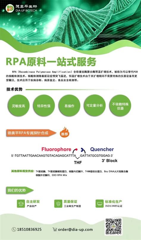 RPA原料一站式服务 超高纯RPA探针令核酸等温扩增研发化繁为简 北京德奥平生物技术有限公司
