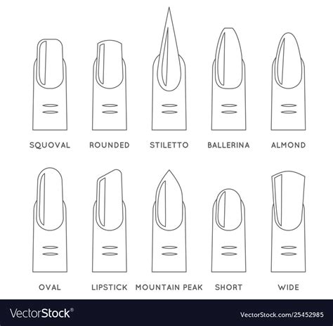 Outline Lineart Natural Fashion Trend Female Nail Vector Image