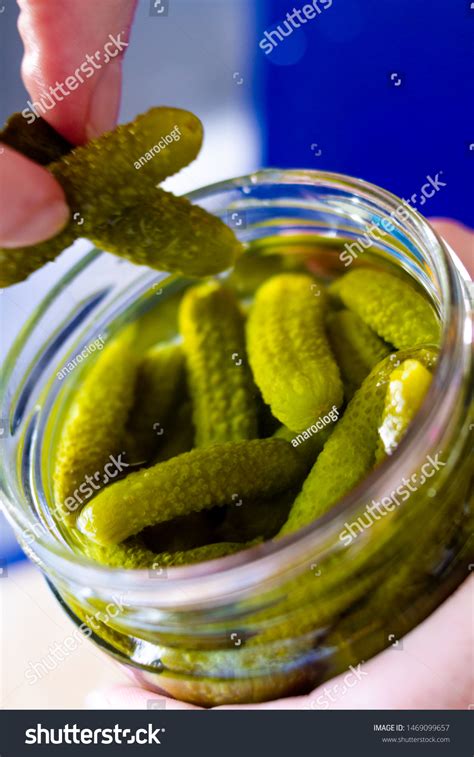 Tiny Pickles Images Stock Photos Vectors Shutterstock
