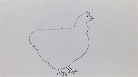 닭 그리기 Youtube