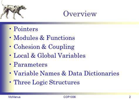 Introduction To Programming Structure Lesson 4 Mcmanuscop Ppt Download