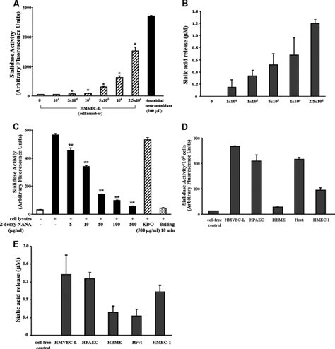 Ec Sialidase Activity Increasing Hmvec L Cell Numbers Were Assayed For Download Scientific
