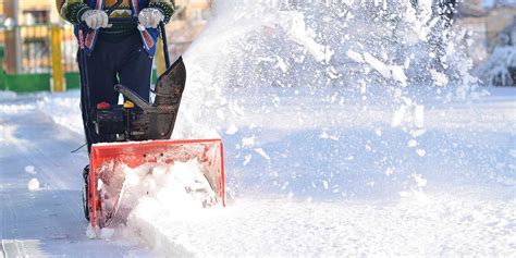 Winter Yard Tips Expert Advice On Snow Removal And Tree Care