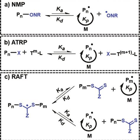 Pdf Reversible Deactivation Radical Polymerization From Polymer Network Synthesis To 3d