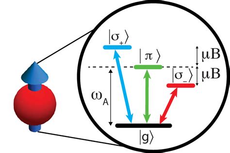 Constituent Atoms In The D Atomic Lattice Each Atom Is Assumed To Download Scientific Diagram