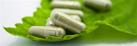 Gallstone Treatment Pulverexx Protocol Gallbladder Home Treatment