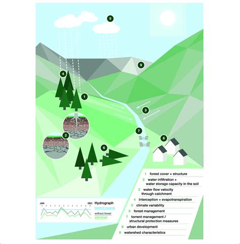 Conceptual Representation Of The Different Factors Influencing Download Scientific Diagram