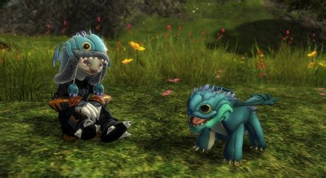 Buy Guild Wars 2 Path Of Fire Deluxe Edition Ncsoft