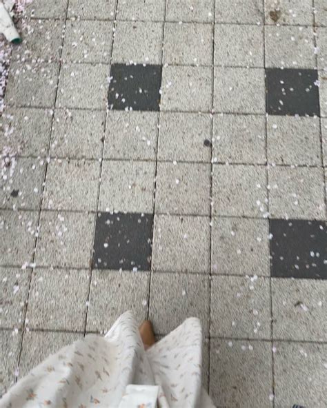 🎀빵빵이랑 예쁜 거 탐구해보지 않을래🎀 협찬 제품제공 〰️🖤 💇‍♀️ 분위기미인 소리만 오늘 다섯번 들었어요💌 💇‍♀️ 🖤 머그스쿱 오로라니치퍼퓸헤어미스트