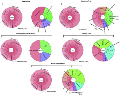 Krona Plots Showing The Relative Abundances Of C Carpio And Arthropod Download Scientific
