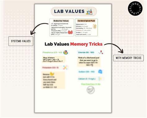 Lab Value Template Nursing Cheat Sheet Lab Values Lab Value