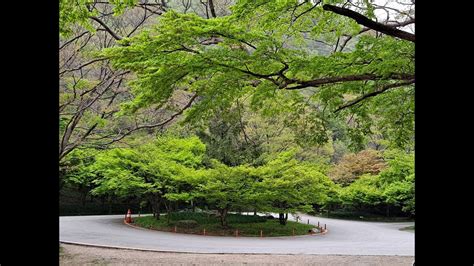 신랑 예수께로 가는 길 2강 신부를 얻기 위한 신랑의 열심 Youtube