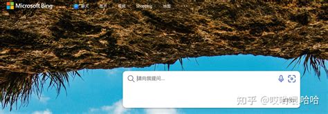 Newbing使用的一些问题 知乎