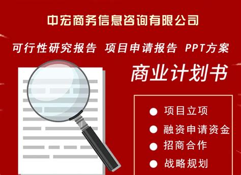 丽江项目计划书 代写商业策划文案