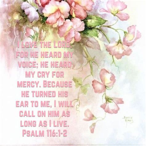 Psalms 116 1 2 I Love The Lord For He Heard My Voice He Heard My Cry
