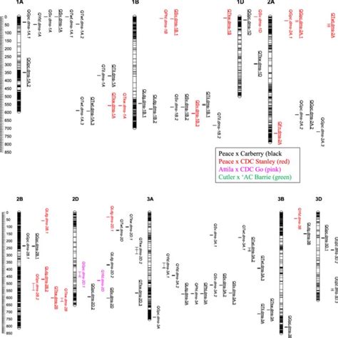 Physical Map Of Quantitative Trait Loci Qtl Associated With Nine Download Scientific Diagram