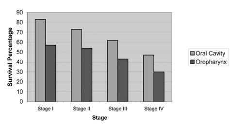 Relative 5 Year Survival Rate By Stage The Following Survival
