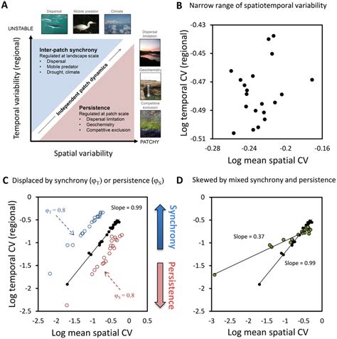 Anatomy Of A Plot Between Spatial And Regional Temporal Variability A Download Scientific