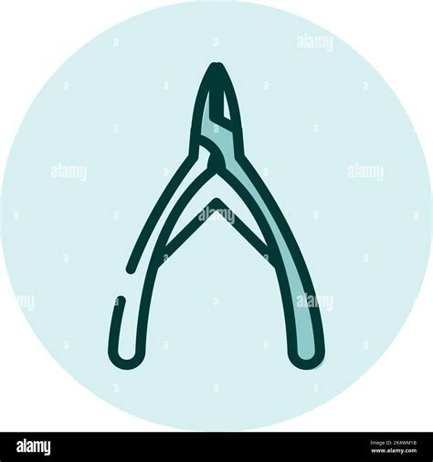 Beauty Nipper Illustration Vector On A White Background Stock Vector Image And Art Alamy