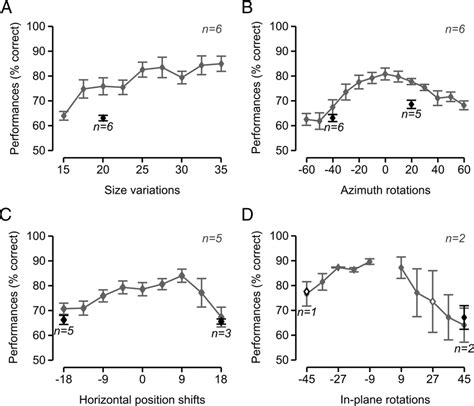 Recognition Performance Of The Transformed Object Views Rat Group Download Scientific Diagram