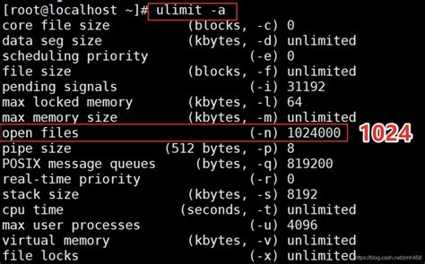 线上问题解决 Socketfile Too Many Open Files打开的文件过多socket Too Many