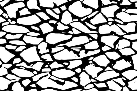 Premium Vector Monochrome Texture