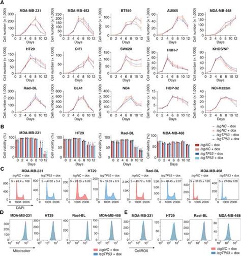 Loss Of Function But Not Gain Of Function Properties Of Mutant Tp53 Are Critical For The