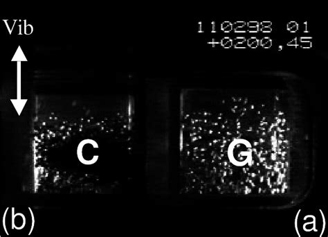 Gas Liquid Transition For Granular Matter Subject To Vibration Download Scientific