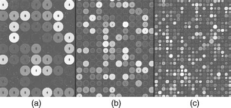 Figure 5 From Simulation Of Cdna Microarrays Via A Parameterized Random